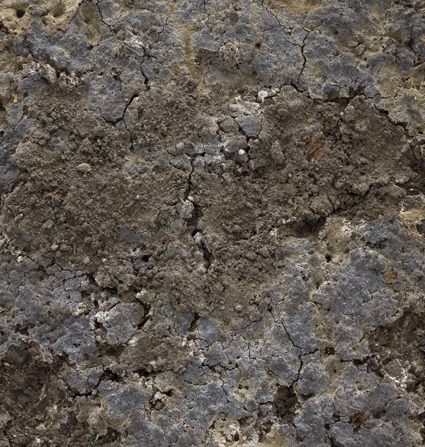 And Thus Ground Became Horizon. On Robert Rauschenberg – Boundary Issues